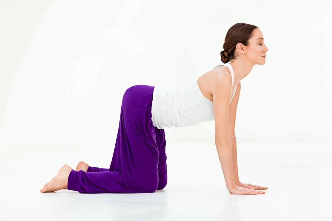 Bitilasana (Cow Pose): Steps, Benefits & Precautions - Fitsri Yoga